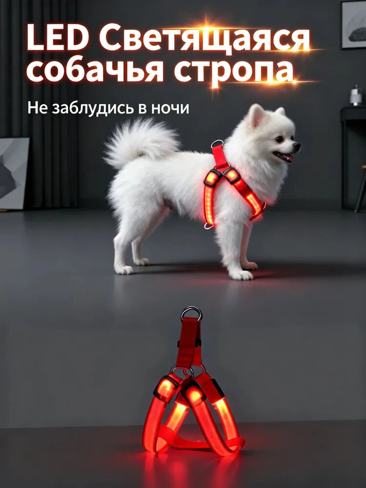 Жилет-шлейка с LED подсветкой: Светящийся водонепроницаемый жилет для средних и крупных собак с 3 режимами свечения