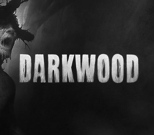 Darkwood PC Steam Ключ • Активация Steam • для России • цифровой ключ