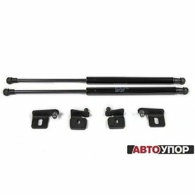 Амортизаторы капота RIVAL ULAPRI012 Lada Priora 07-18 2 шт + крепеж