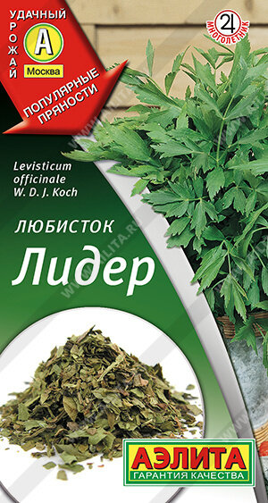 Любисток Лидер