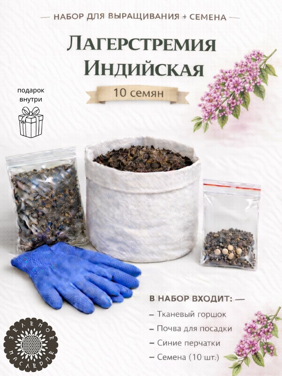 Домашний набор для выращивания Лагерстремии Индийской / Подарок для юного садовода