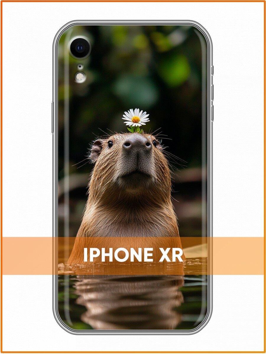 Чехол для Iphone Xr с принтом Капибара (Айфон Xr)