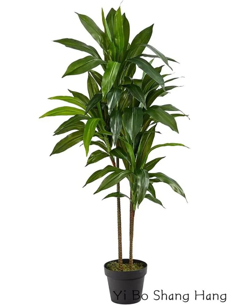 Искусственные цветы драцена шелковая 120 см пластик для украшения дома
