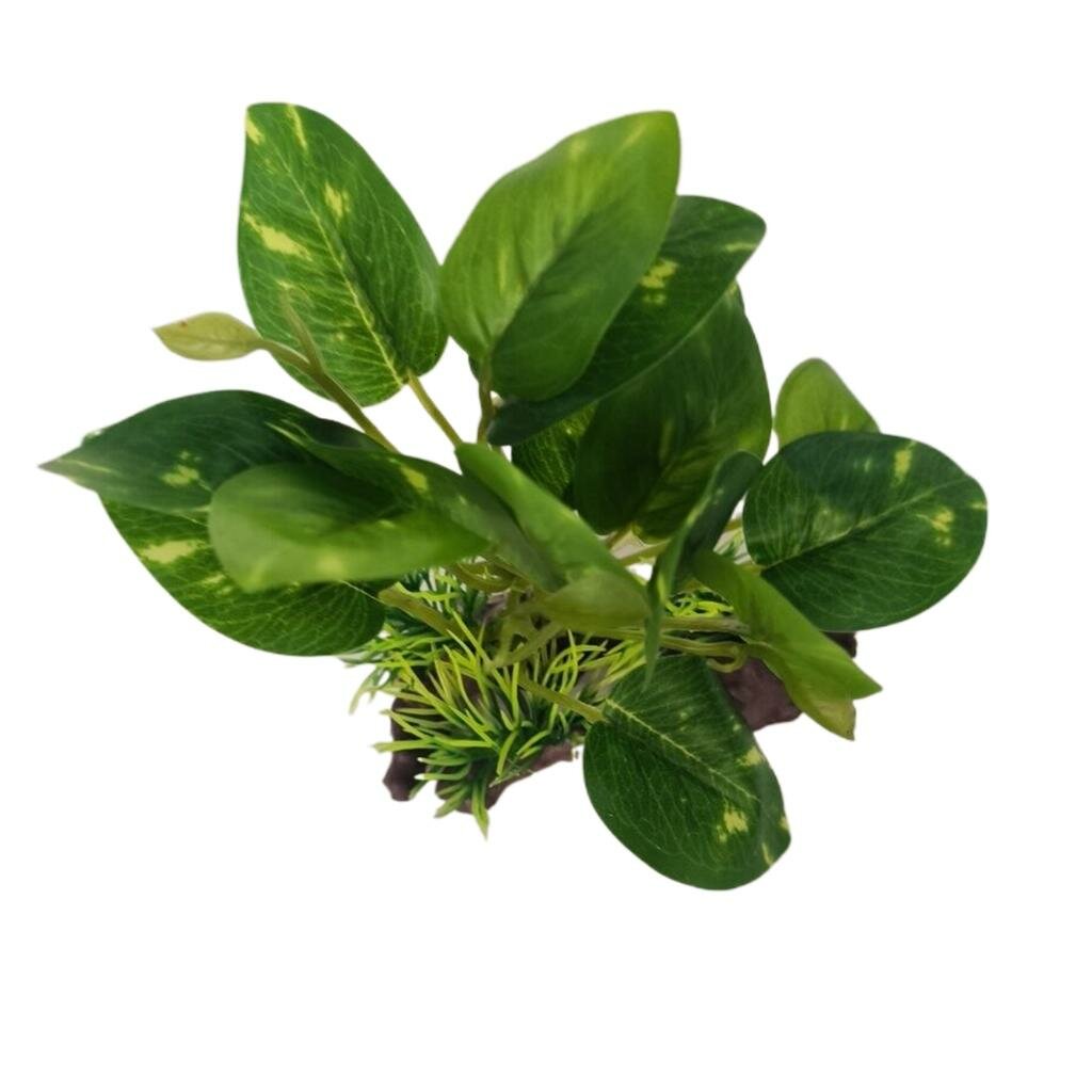 Искусственная дрифтвуд-ветка для аквариума, Shenmu seven fork gr