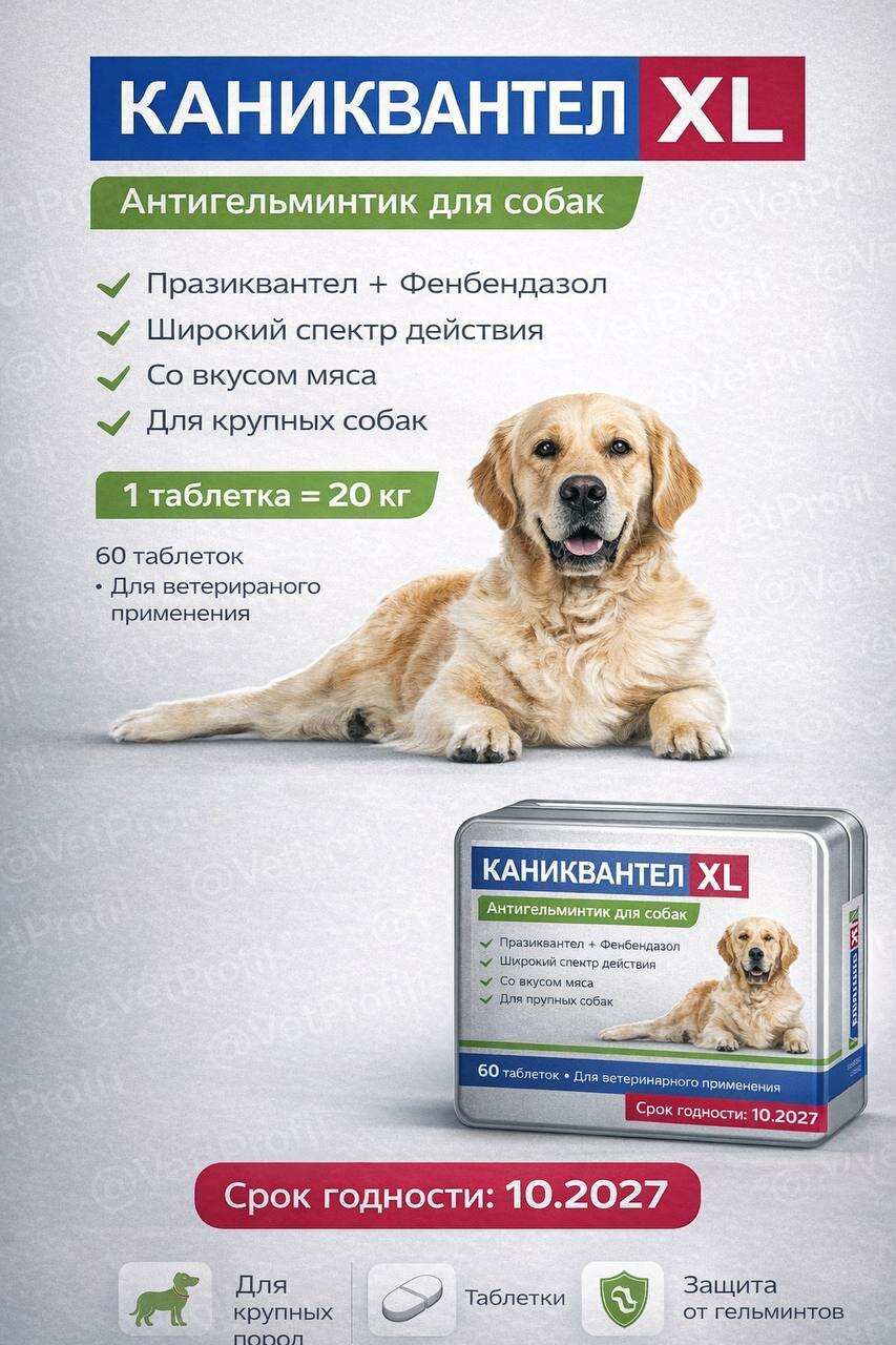 Каниквантел плюс XL (Caniquantel Plus XL) таблетки для крупных собак, антигельминтик 3 таблетки ( без упаковки)
