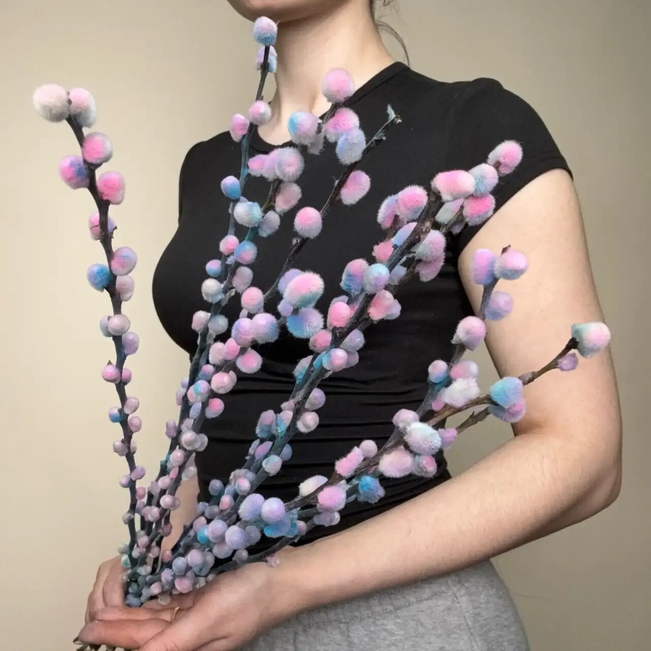 Пучок вербы градиент, 11 шт (окрашена) , Голландия , Ver Flowers