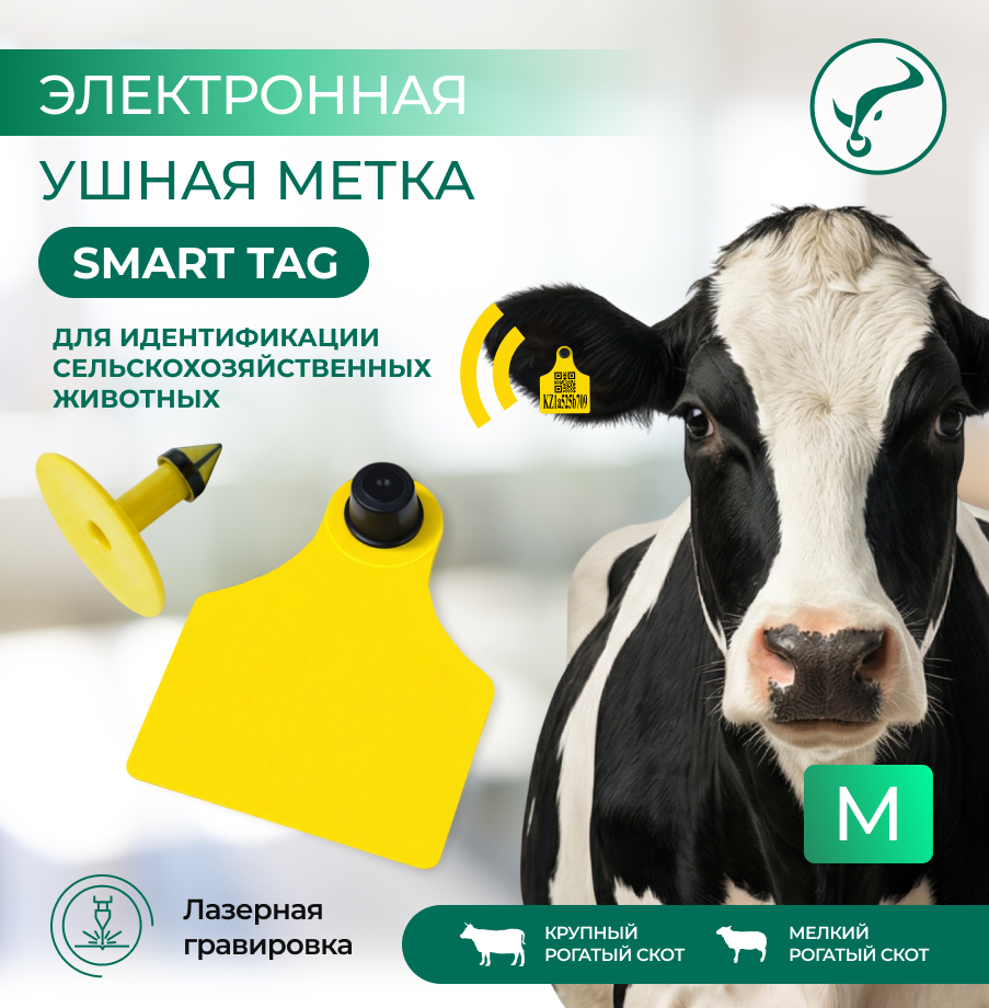 Ушные бирки SMART TAG M (61x50мм) для с/х животных КРС и МРС с микрочипом UHF, (1 шт)