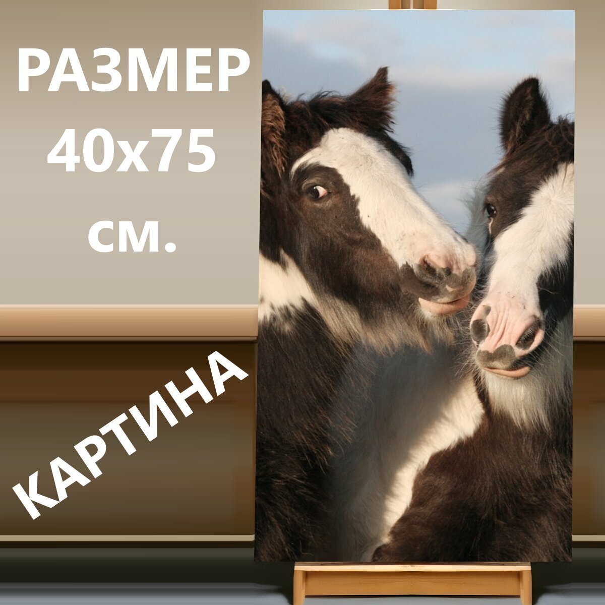 Картина на холсте "Лошадь, цыганский конь, животное" на подрамнике 75х40 см. для интерьера