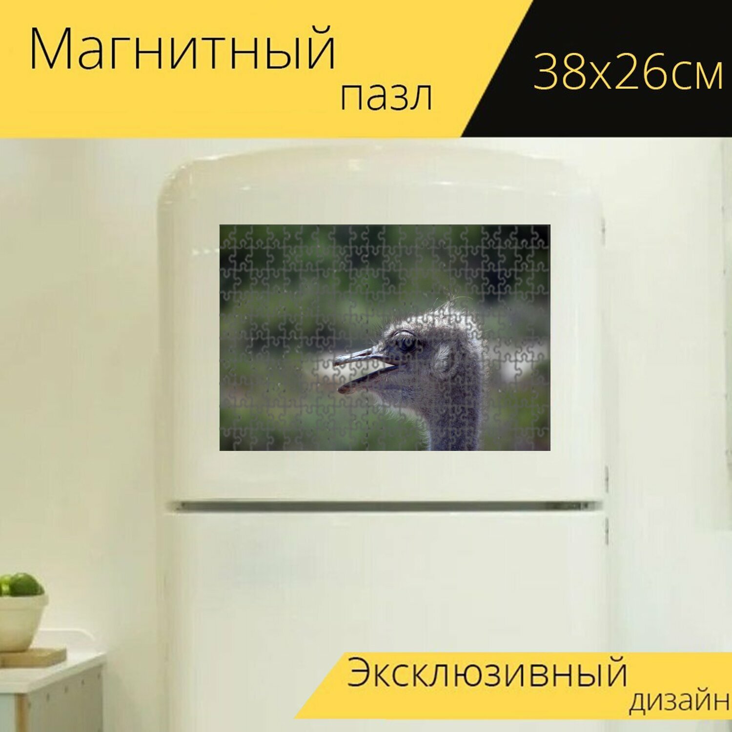 Магнитный пазл "Говорящий страус профиль страусиной головы, который выглядит так, как будто он говорит птица птицы дикая природа страус страусы милые лицо." для интерьера, 38х26 см.