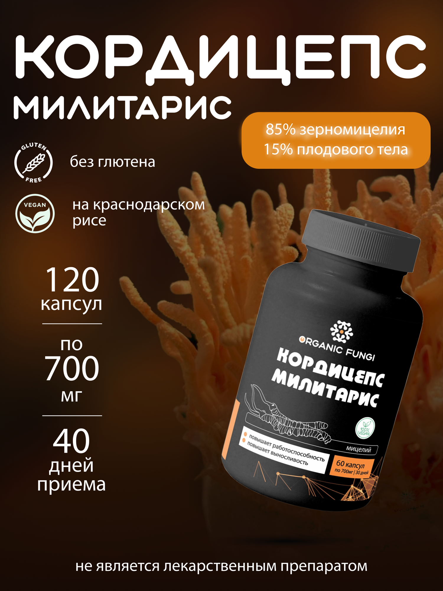 Кордицепс военный Organic fungi, на буром рисе, 120 капсул, 700 мг