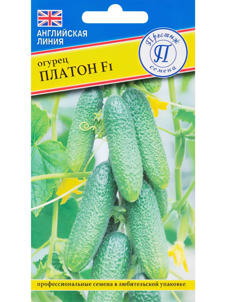 Семена Огурец Платон F1