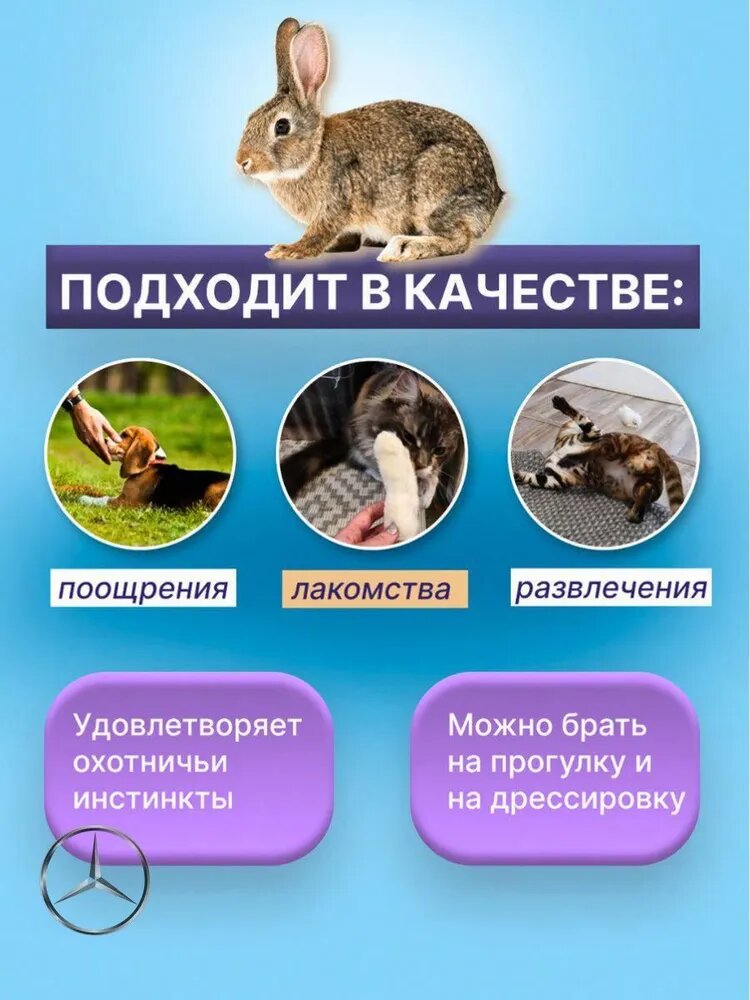 Игрушка для животных — фото 1