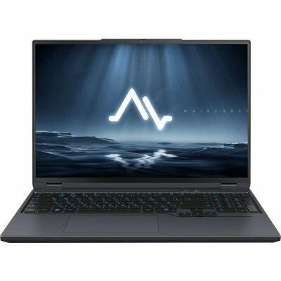 Ноутбук X16F-R98957T0GGRLG4E10 AMD Ryzen 9 8940HX, 2.4 GHz - 5.3 GHz, 16384 Mb, 16" QHD 2560x1600, 1000 Gb SSD, nVidia GeForce RTX 5070 Ti 12288 Mb, Linux, серый, 2.3 кг, X16F-R98957T0GGRLG4E10