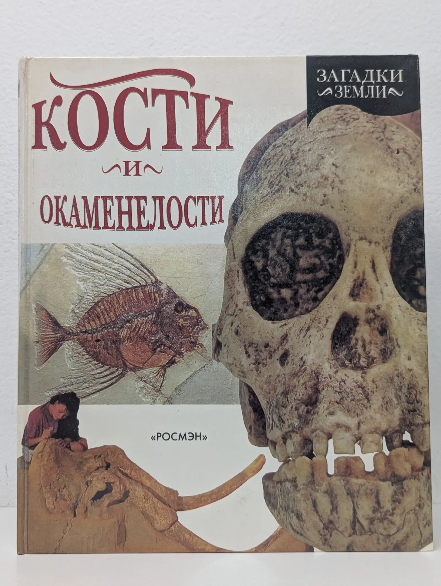Загадки Земли. Кости и окаменелости Пиротта Сейвиор 1999