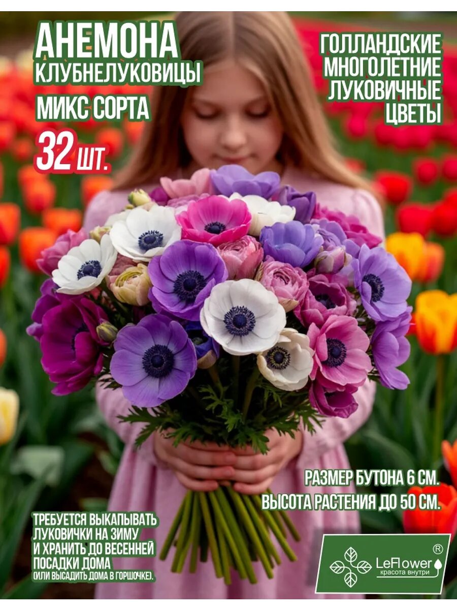 Анемона цветы многолетние, микс сорта 32 шт