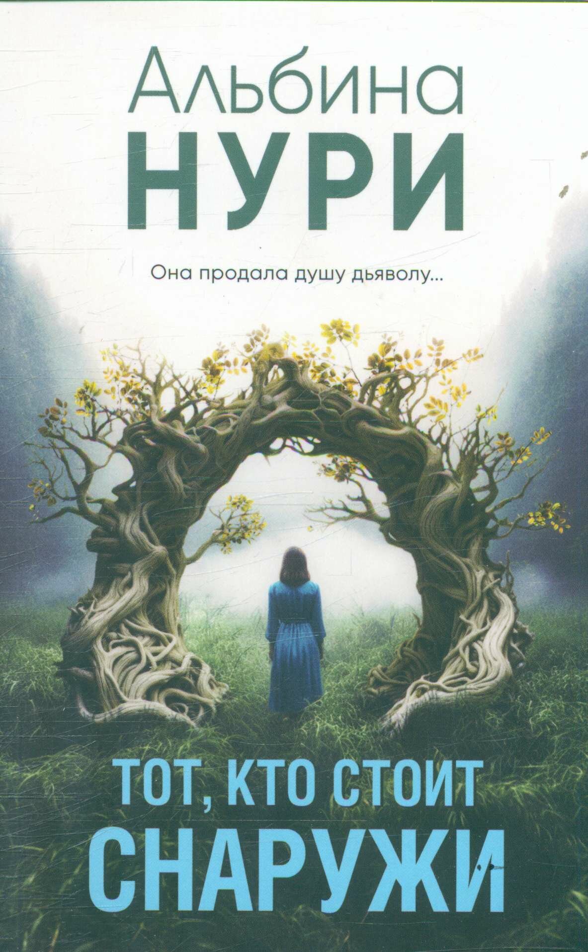 Тот, кто стоит снаружи (Нури А.)