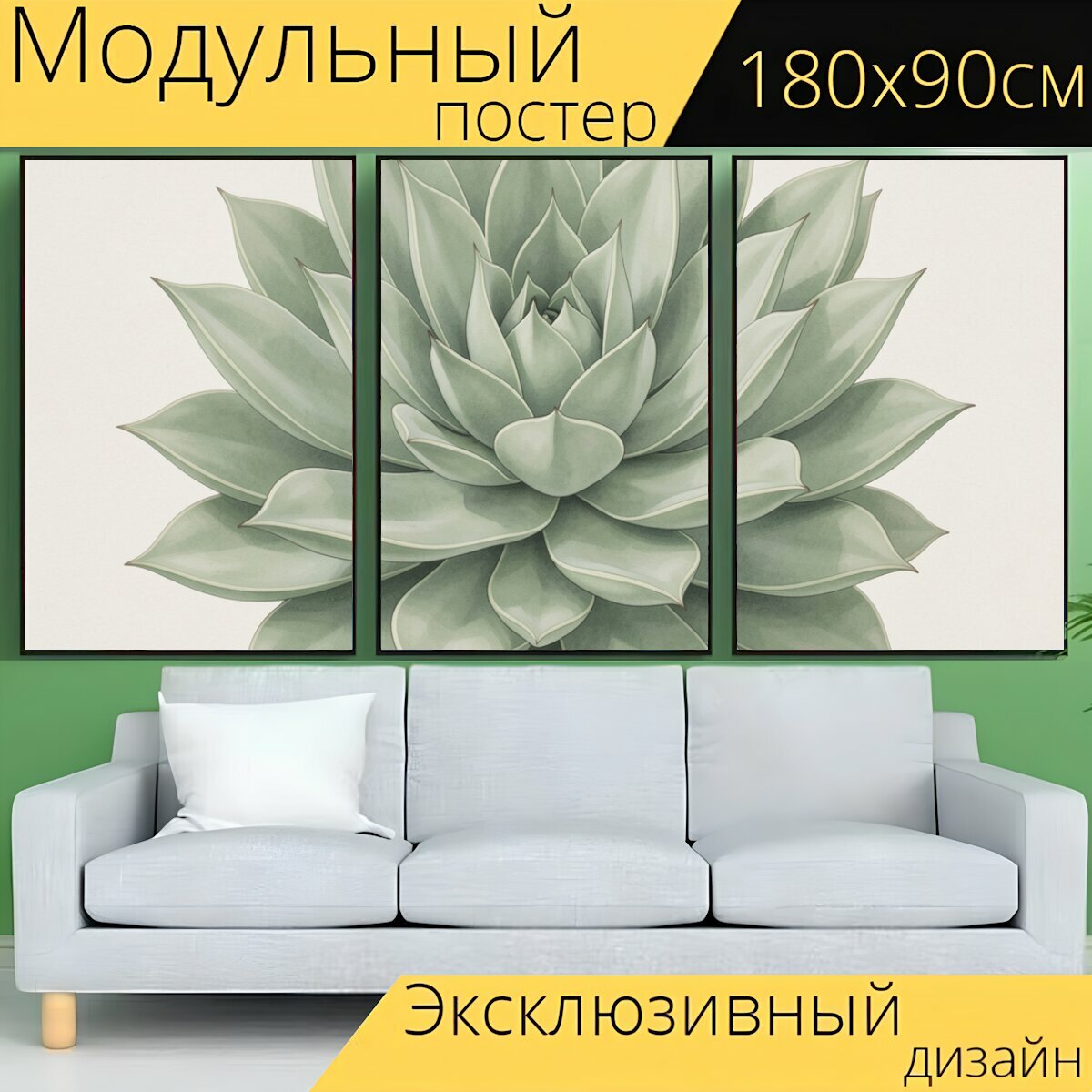 Модульный постер "Суккулент эхеверия акварельная. Нежная ботаническая иллюстрация розетки с мясистыми листьями в пастельно-зеленых и." 180 x 90 см. для интерьера на стену в тубусе