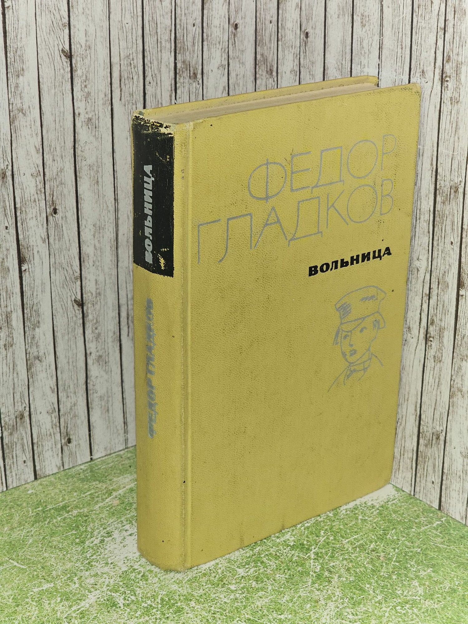 Вольница. Ф. Гладков