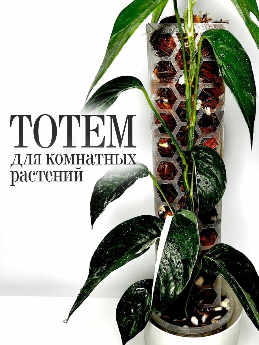 Опора для растений,8см,1шт держатель для растений подпорка для цветов