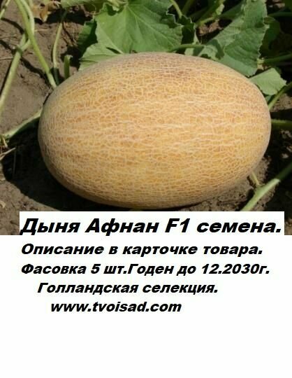 Дыня Афнан F1 семена