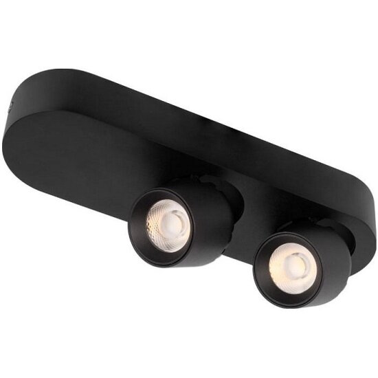 Накладной светильник Loft IT Quiet 10320/2 Black