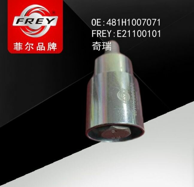 E21100101 Ролик ремня ГРМ CHERY