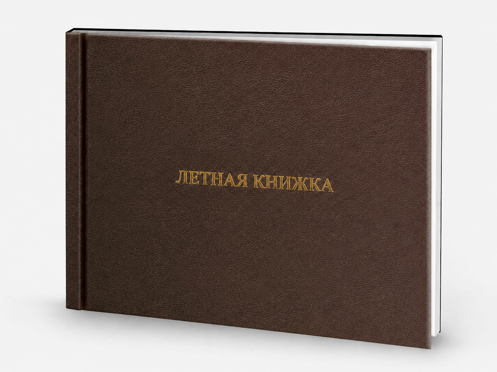 Летная книжка летчика, коричневый бумвинил