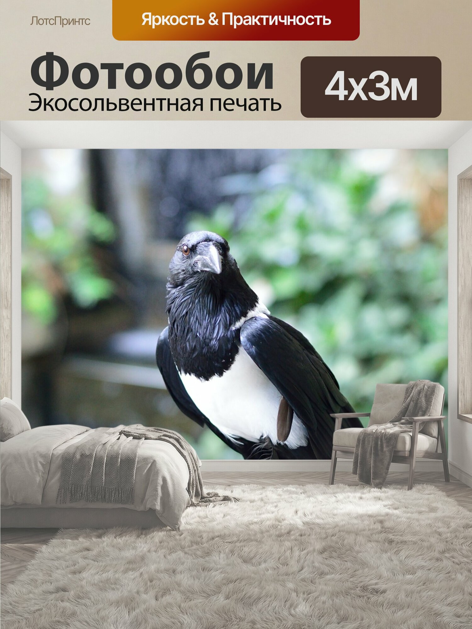 Фотообои "Пестрый ворона, птица, природа" 400x300 см. экосольвентная печать