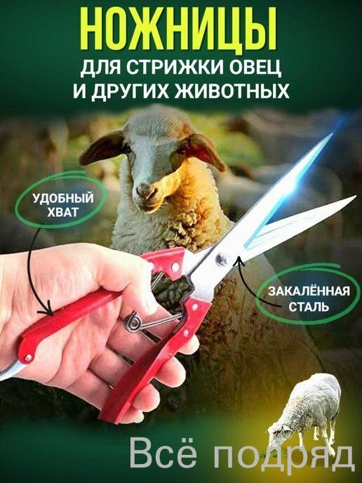 Ножницы для стрижки овец и других животных, 30 см