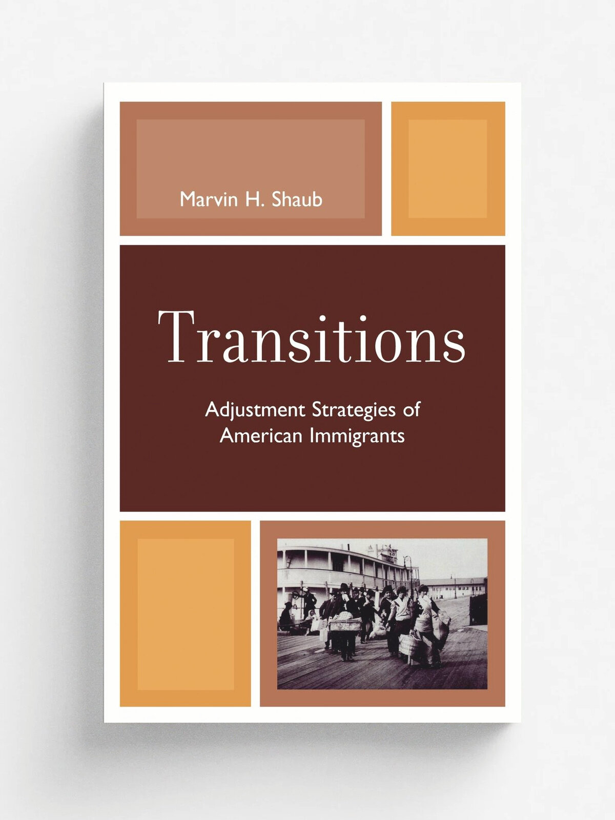 Transitions. Adjustment Strategies of American Immigrants