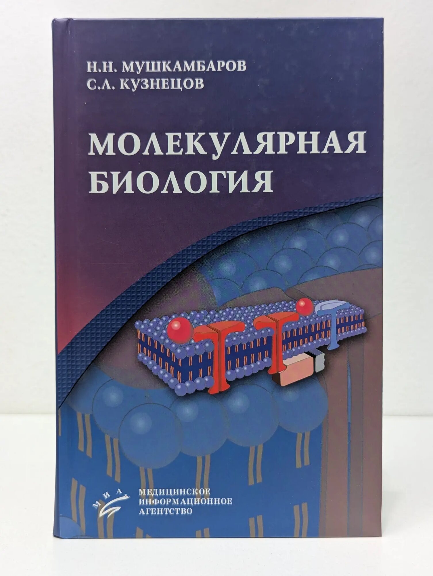 Молекулярная биология Кузнецов Сергей Львович, Мушкамбаров Николай Николаевич 2007