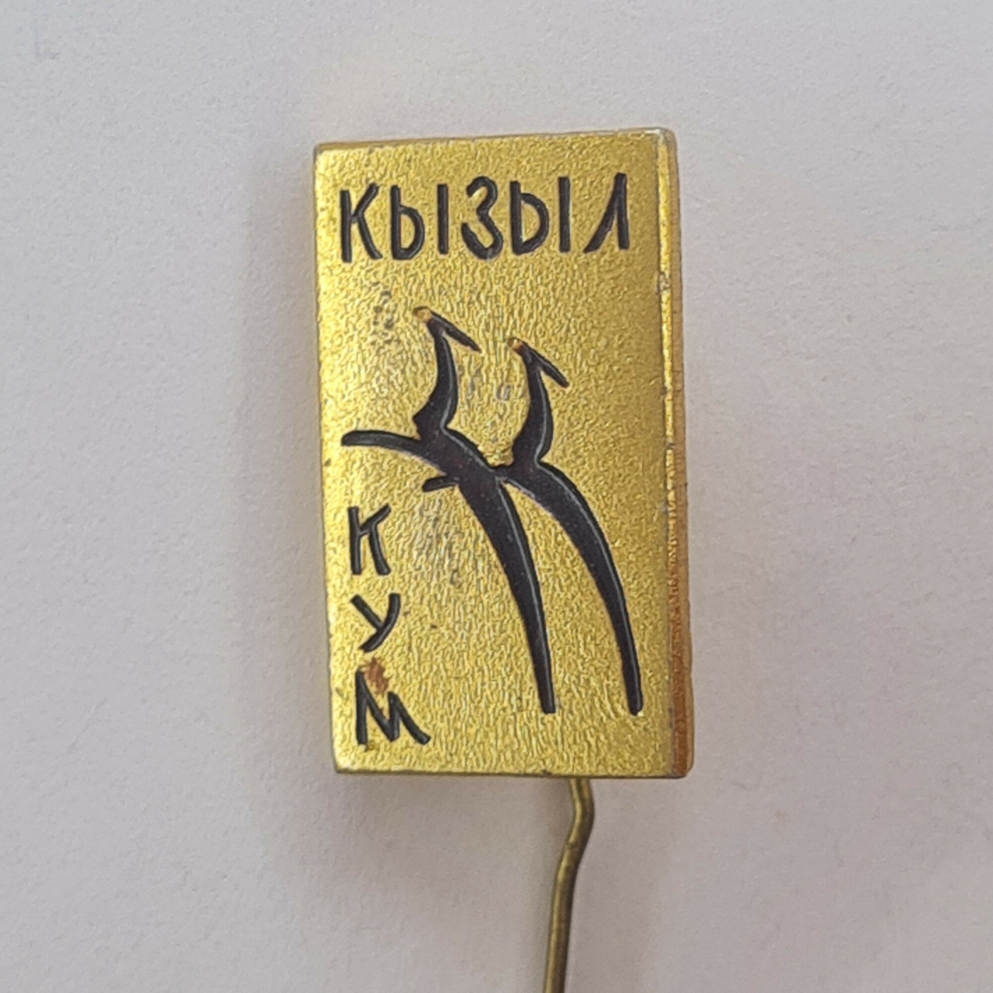 Значок СССР. Кызыл, Тува, птицы, городская тематика. Винтажный значек.