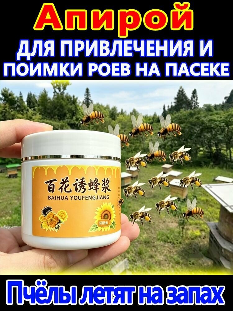 Апирой для поимки роев и приманки пчел
