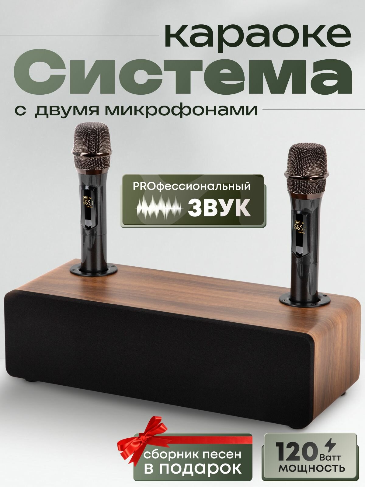 Караоке система с двумя беспроводными микрофонами