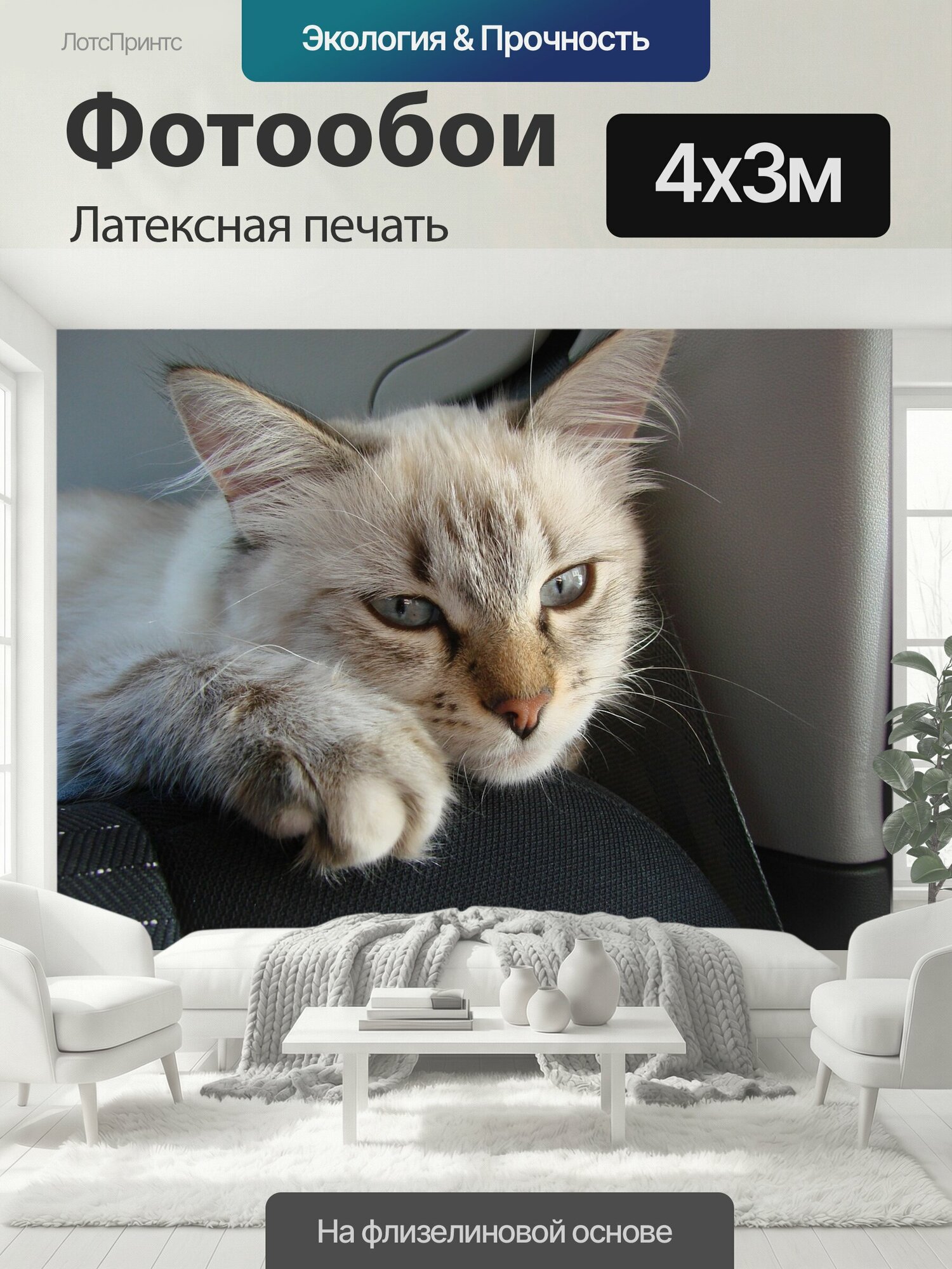 Фотообои моющиеся ударопрочные "Кошка, невская маскарадная, животные" 400x300 см. латексная печать