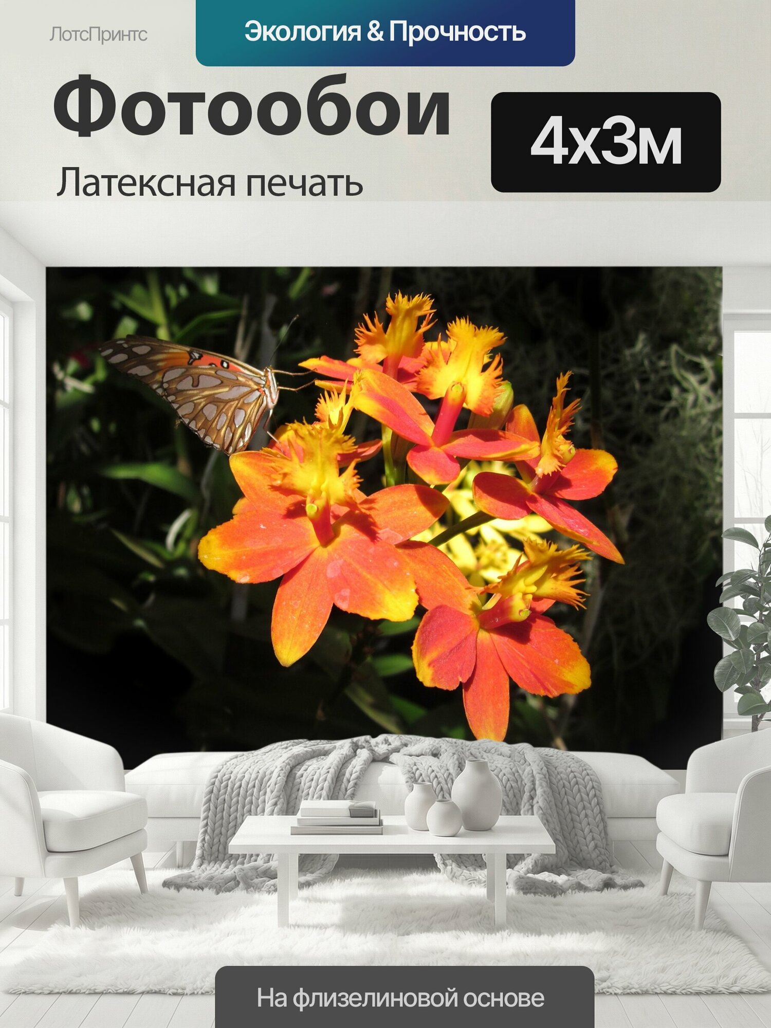 Фотообои моющиеся ударопрочные "Эпидендрум, бабочка, орхидея" 400x300 см. латексная печать