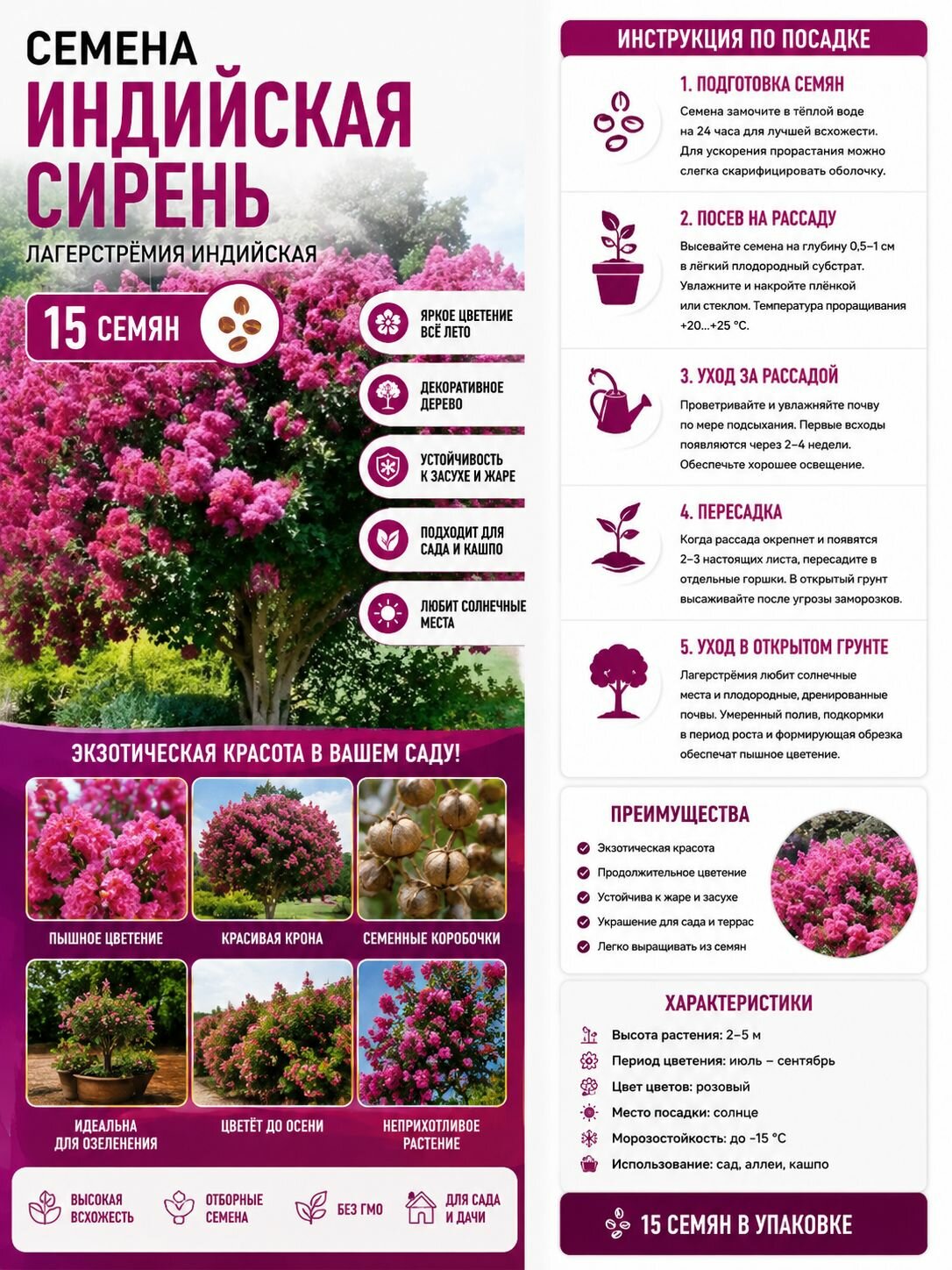 Лагерстрёмия индийская (Индийская сирень) семена 15 шт, декоративное цветущее дерево для сада и дачи