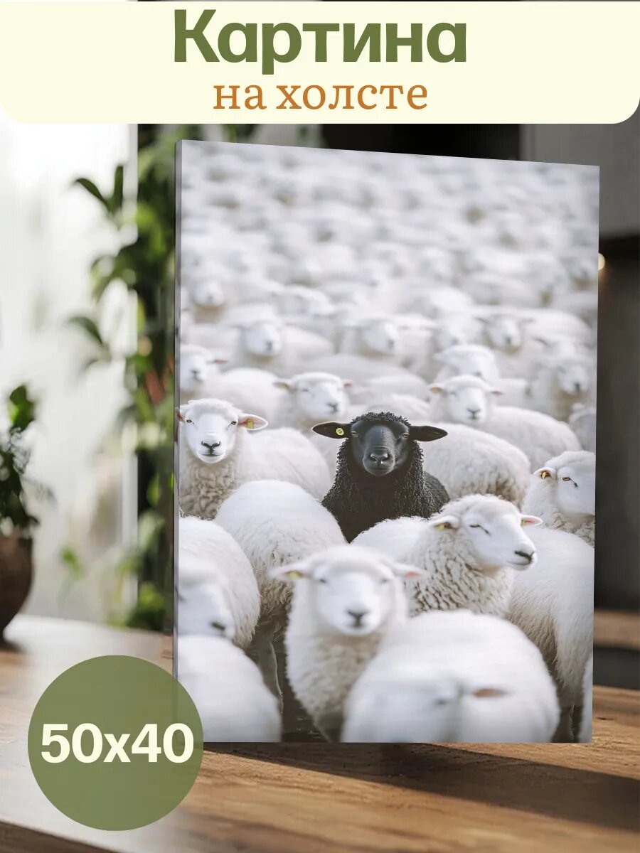 Картина 40х50 Стадо Овец Природа Эстетика Животные