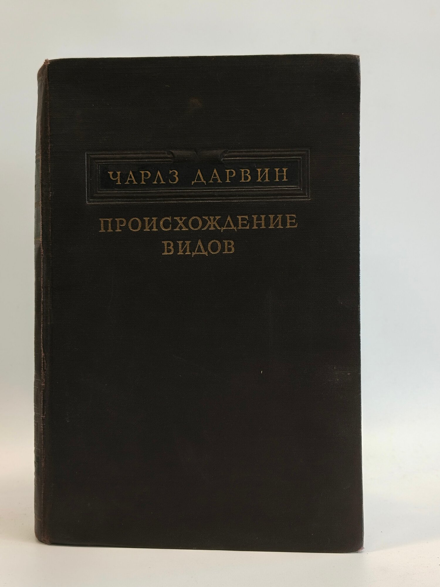 Происхождение видов