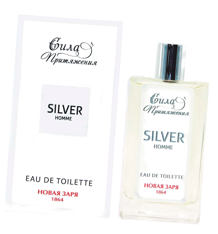 Nouvelle Etoile Silver туалетная вода для мужчин 100 мл - Новая Заря Серебро