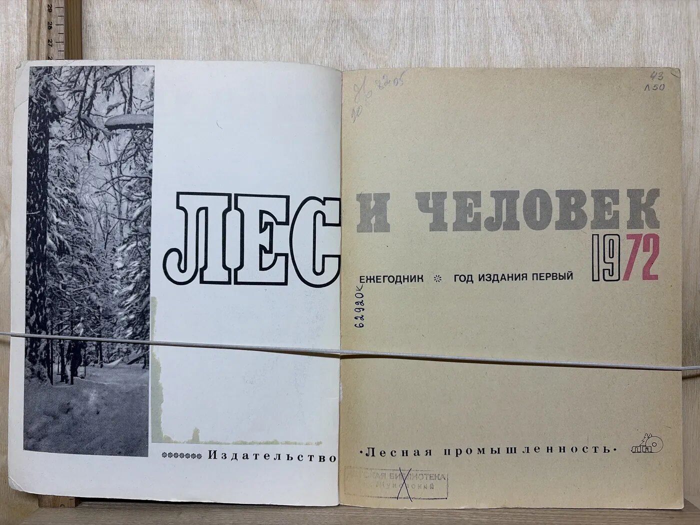 Лес и человек — фото 1