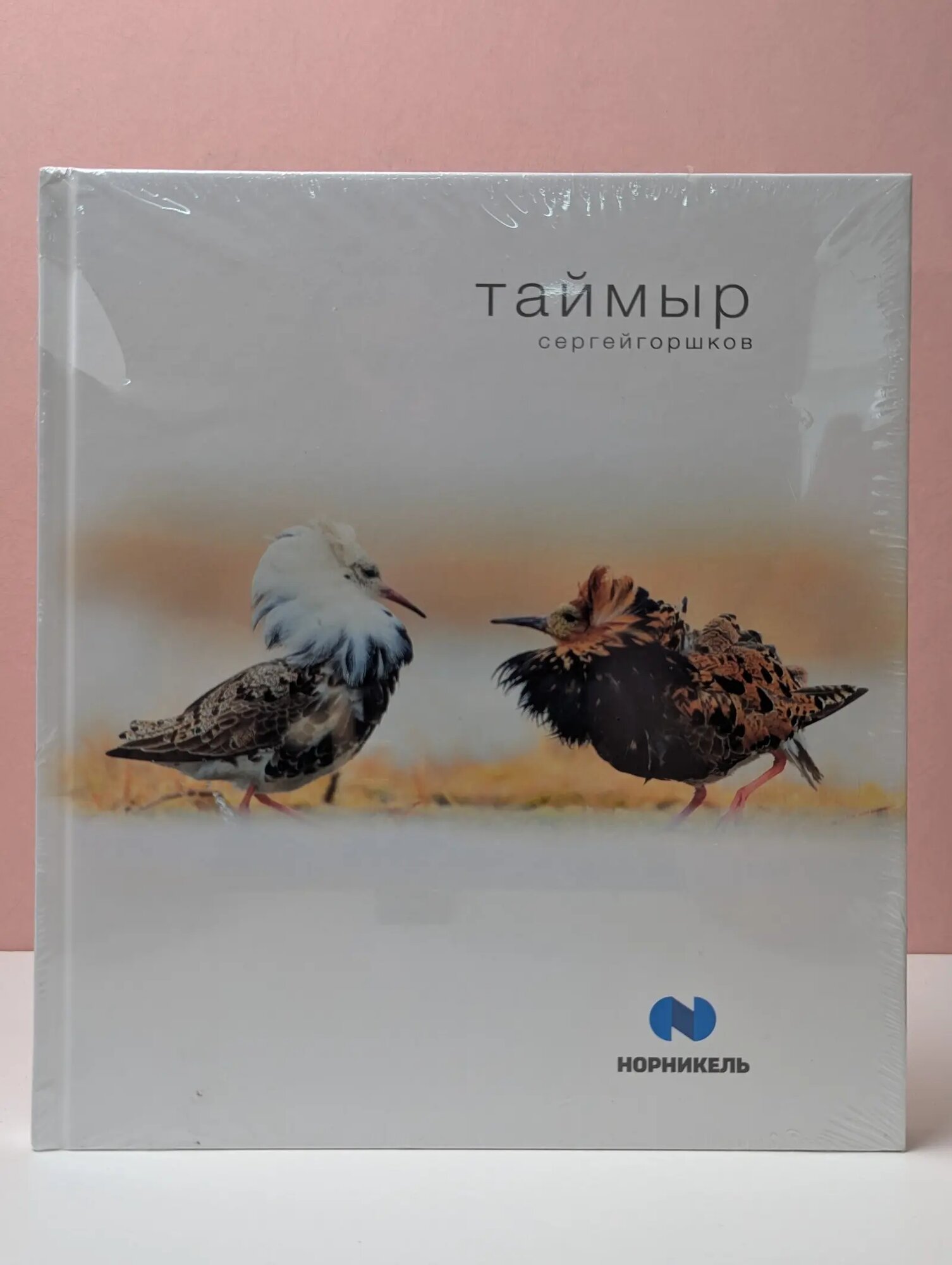 Таймыр Горшков Сергей 2019