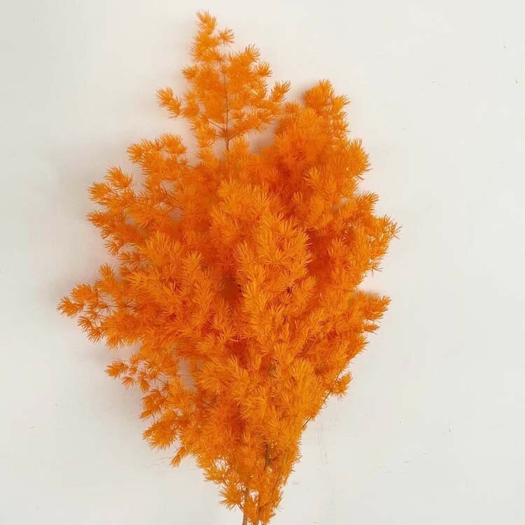 2026 Новейшие сухие цветы сосны Пэнглай, вечные цветы, ароматерапевтическая свеча, диффузор, камень, легкая роскошь, плавающие цветы, материалы для DIY в гостиной, свадебная цветочная композиция