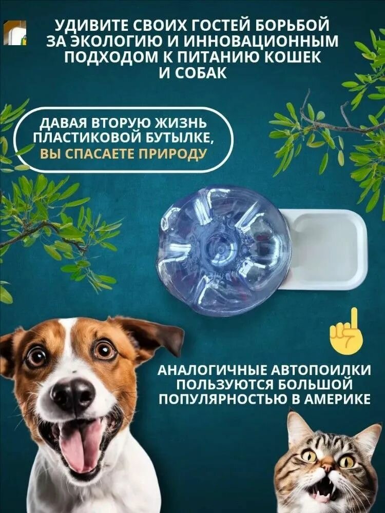 Автокормушка — фото 1
