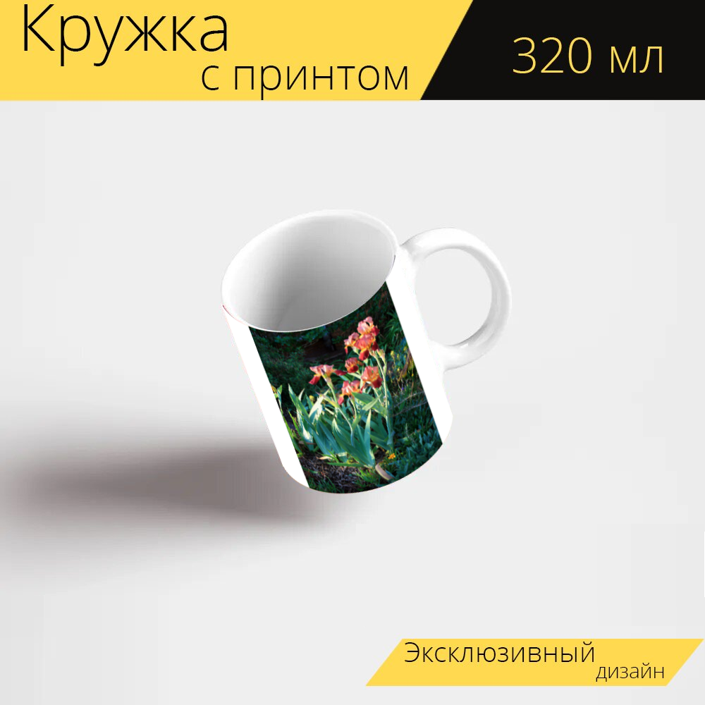 Кружка с рисунком, принтом "Высокие ирисов высокие ирисов цветы высокий лиловый желтый сад" 320 мл.