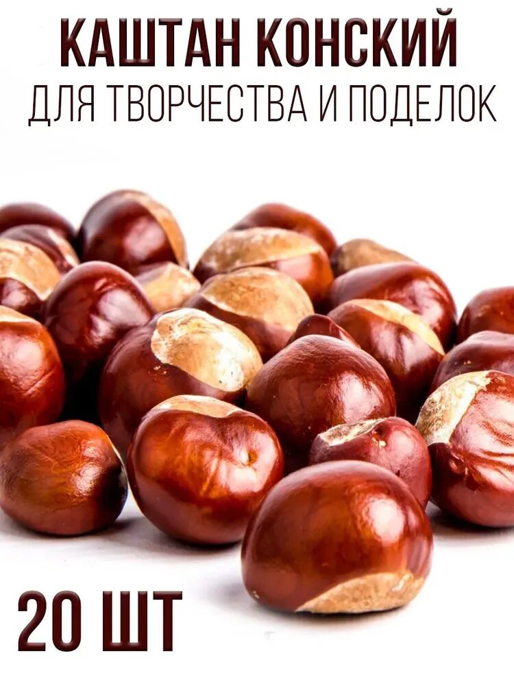 Плоды конского каштана для поделок, настоек, конский каштан для творчества, заготовка для поделок.