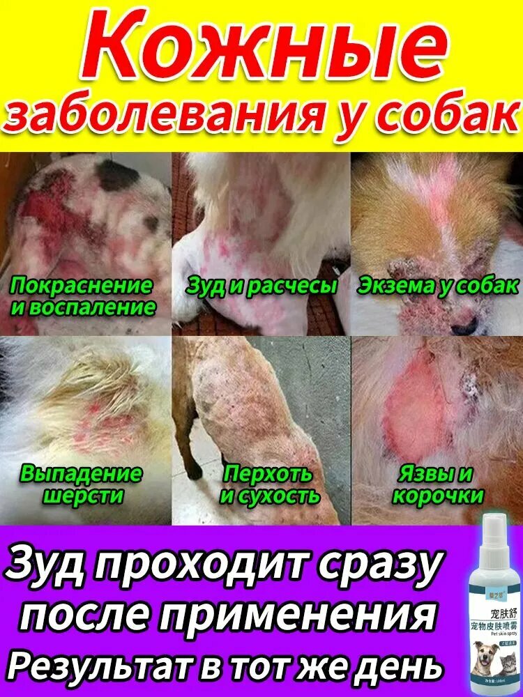 Спрей от стригущего лишая для кошек и собак используется при зуде, выпадении волос и эрозии,100 мл