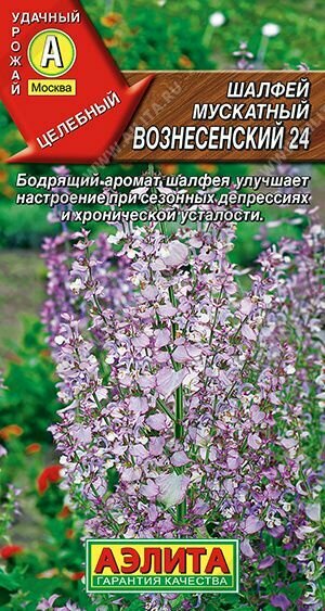 Семена шалфей мускатный Вознесенский 24 - украшение, лекарство , приправа . Аэлита.