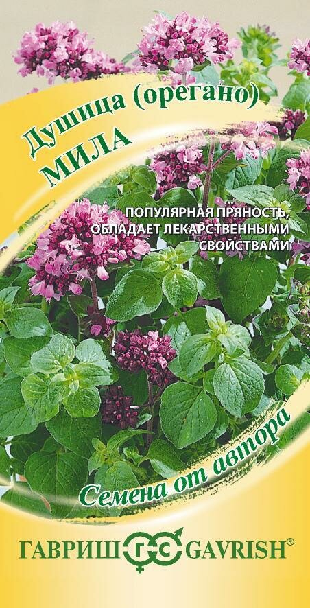 Семена зелени душица Мила, для дачи, сада, огорода и на рассаду