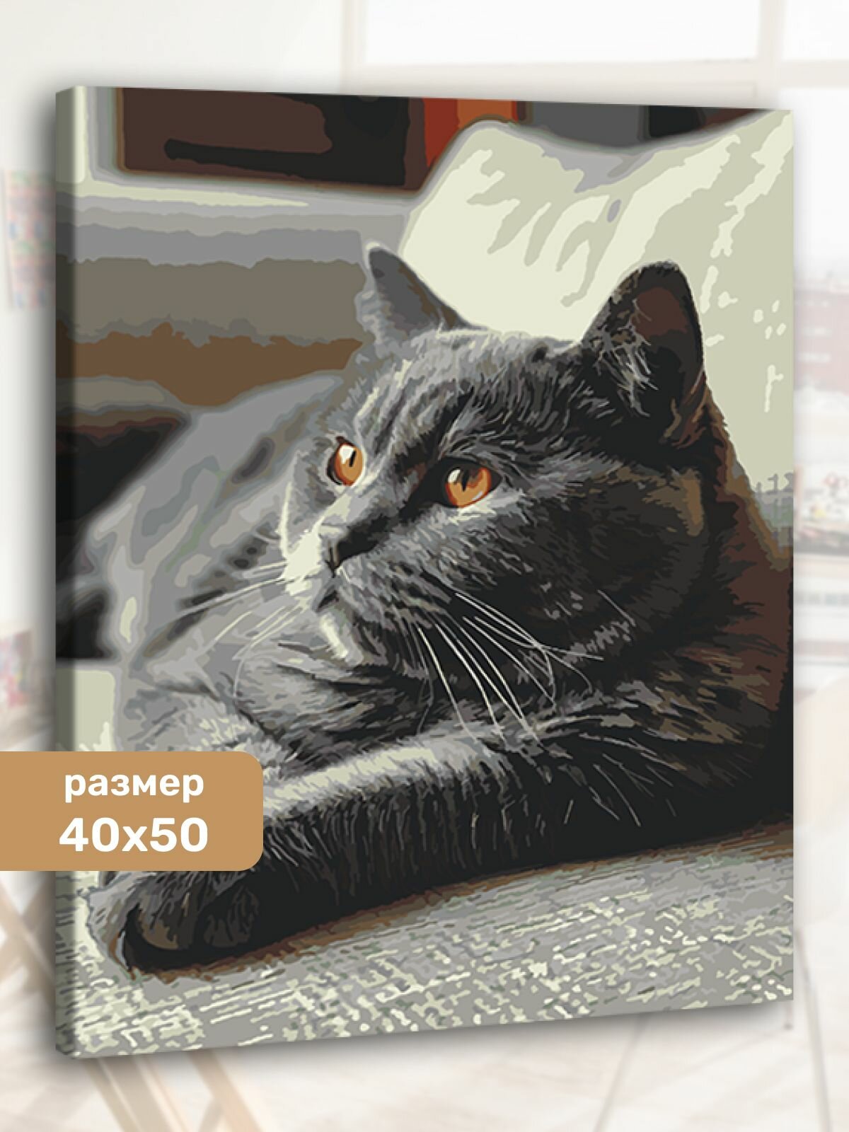 Картина по номерам на холсте Британский кот